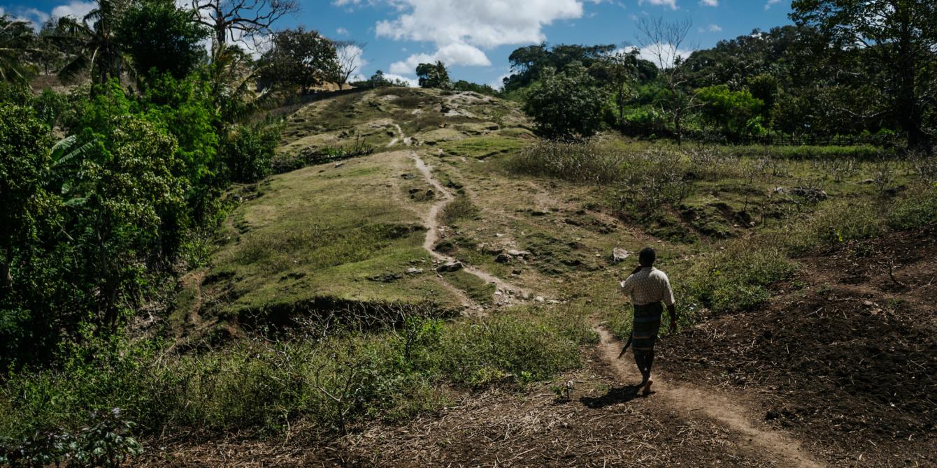 Investing In A Strong Agriculture Sector Can Safeguard Timor-Leste In ...