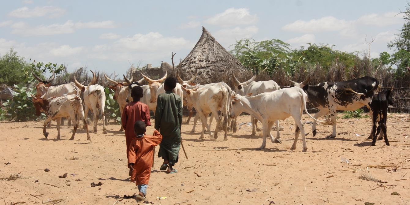 Extreme hunger has more than doubled in 10 of the world’s worst climate ...